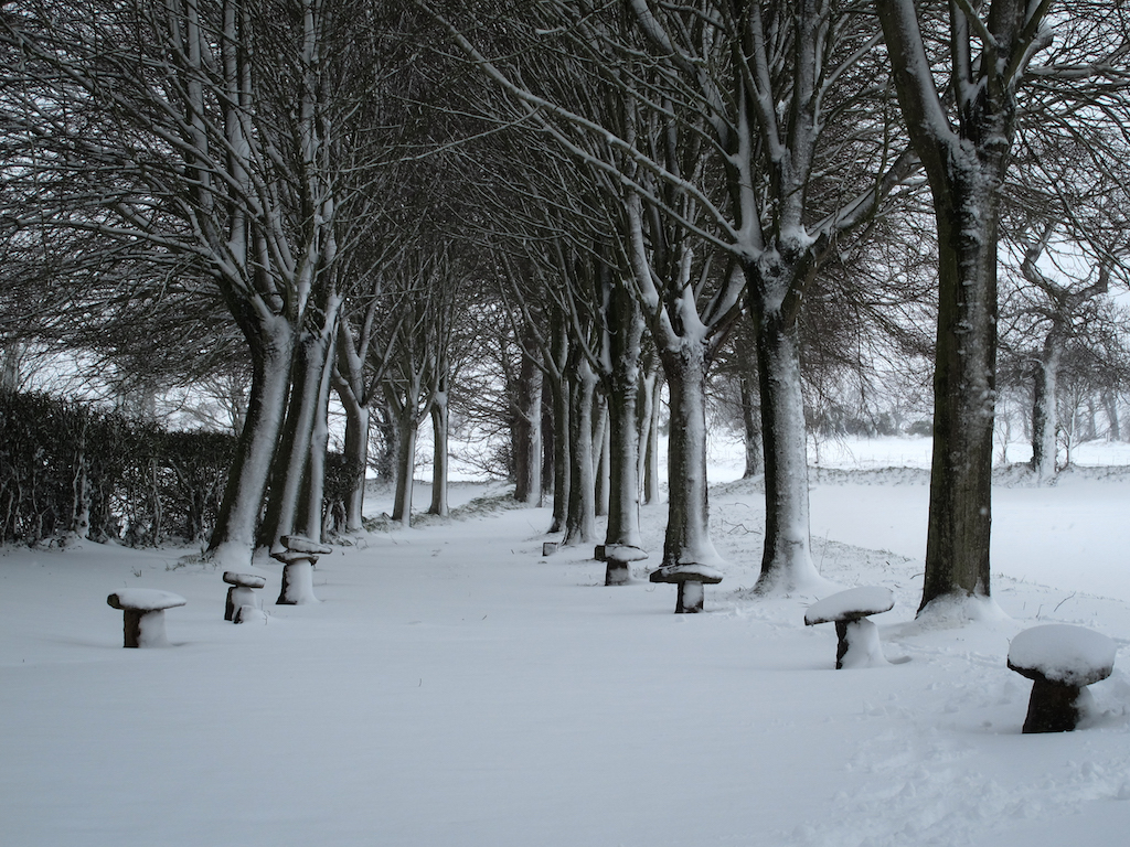 Winter Driving Tips & Advice | Rubis Channel Islands