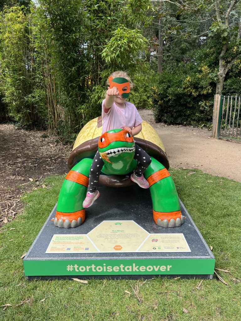 Eco Ninja Mask Competition - Durrell Tortoise Takeover | Rubis
